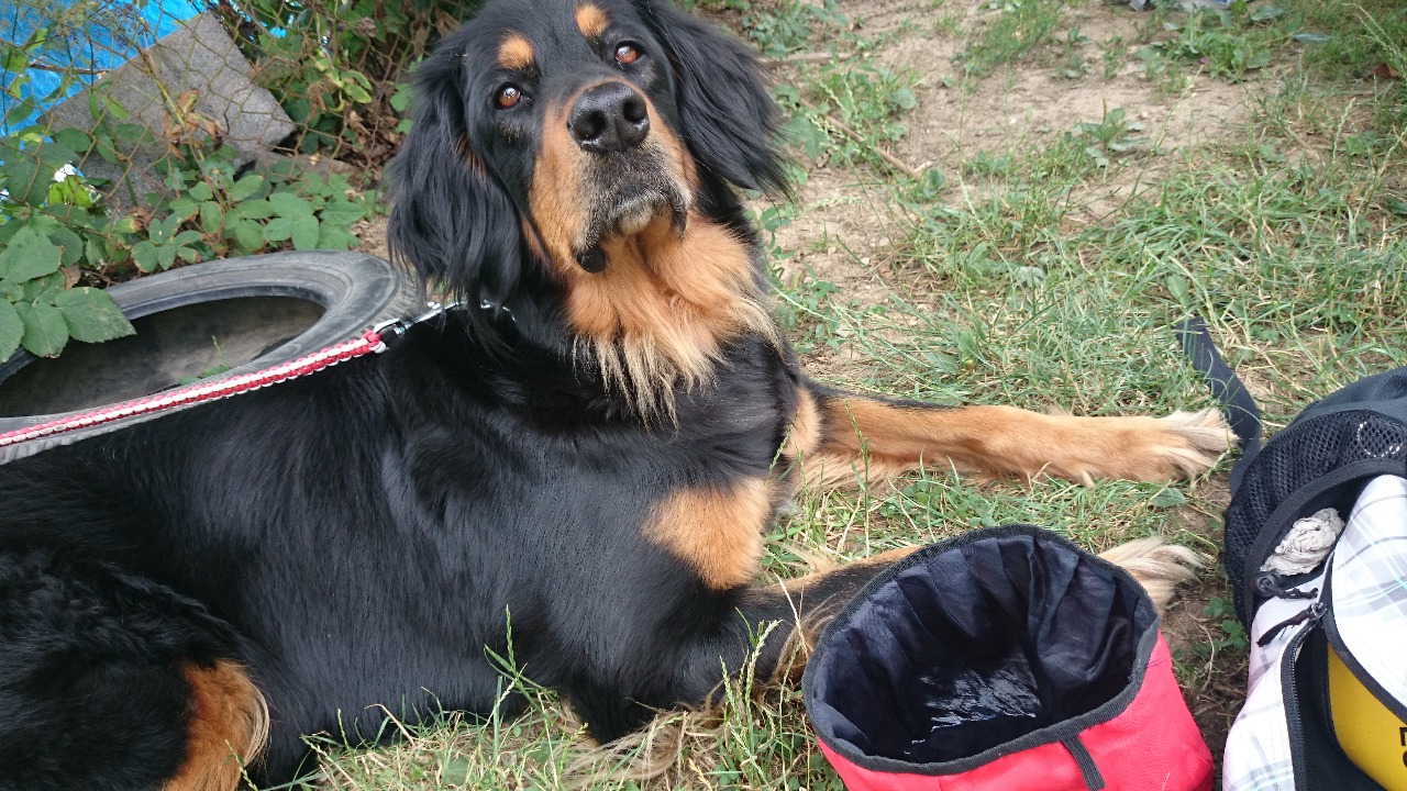 Jackie :: ChS Jackie-Snow